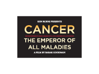 SAFARI Montage: Content Packages